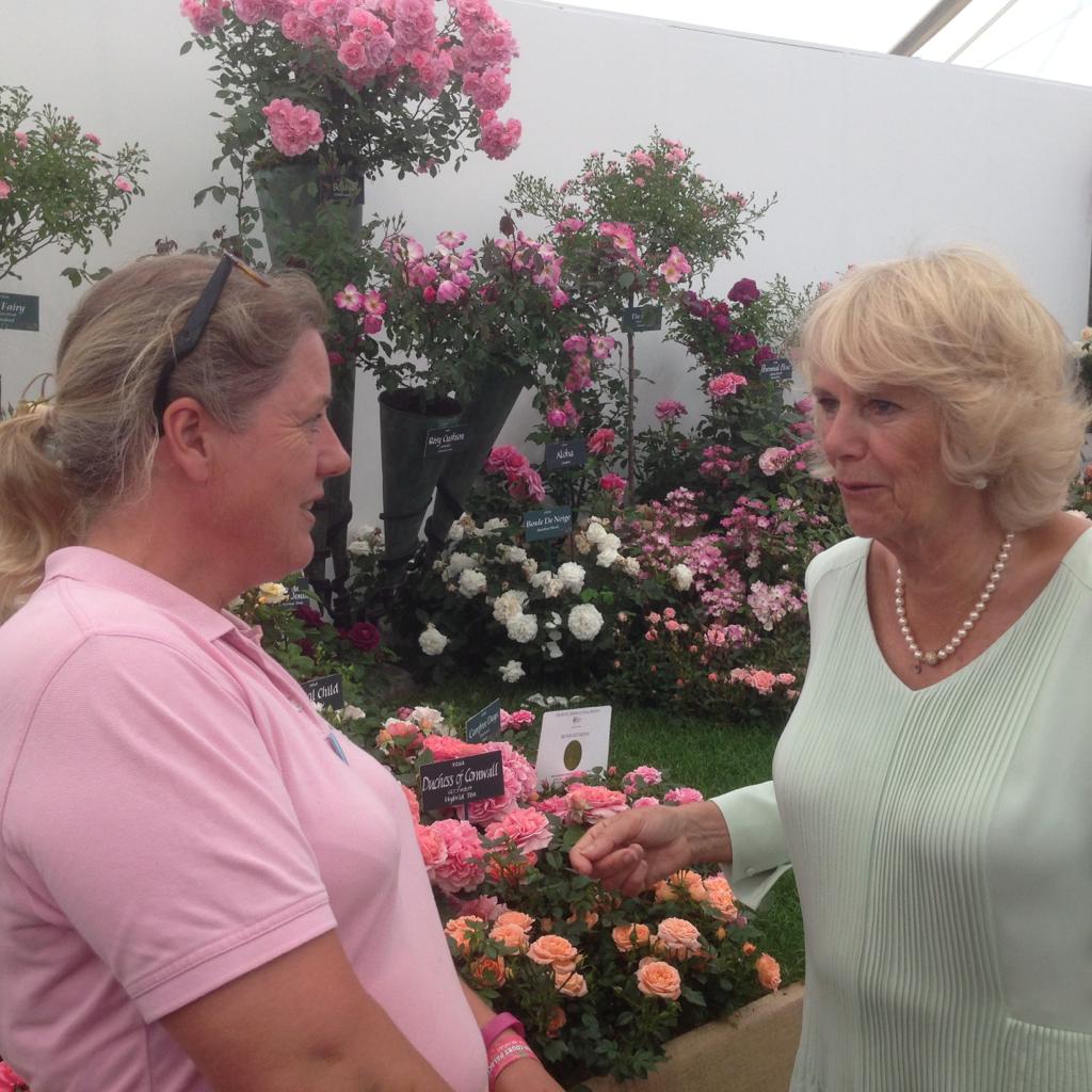 Welcome to Apuldram Roses, a plant nursery specialising in Roses ...